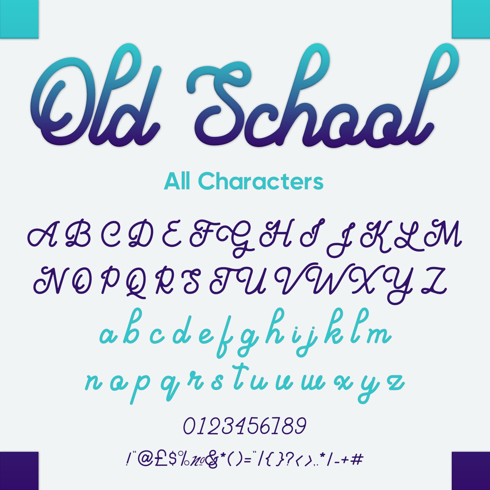 Retro Vintage Font, Old School Mono Script Font, OTF, TTF Font ...