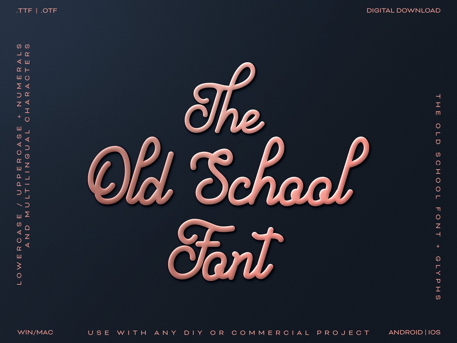 Retro Vintage Font, Old School Mono Script Font, OTF, TTF Font ...