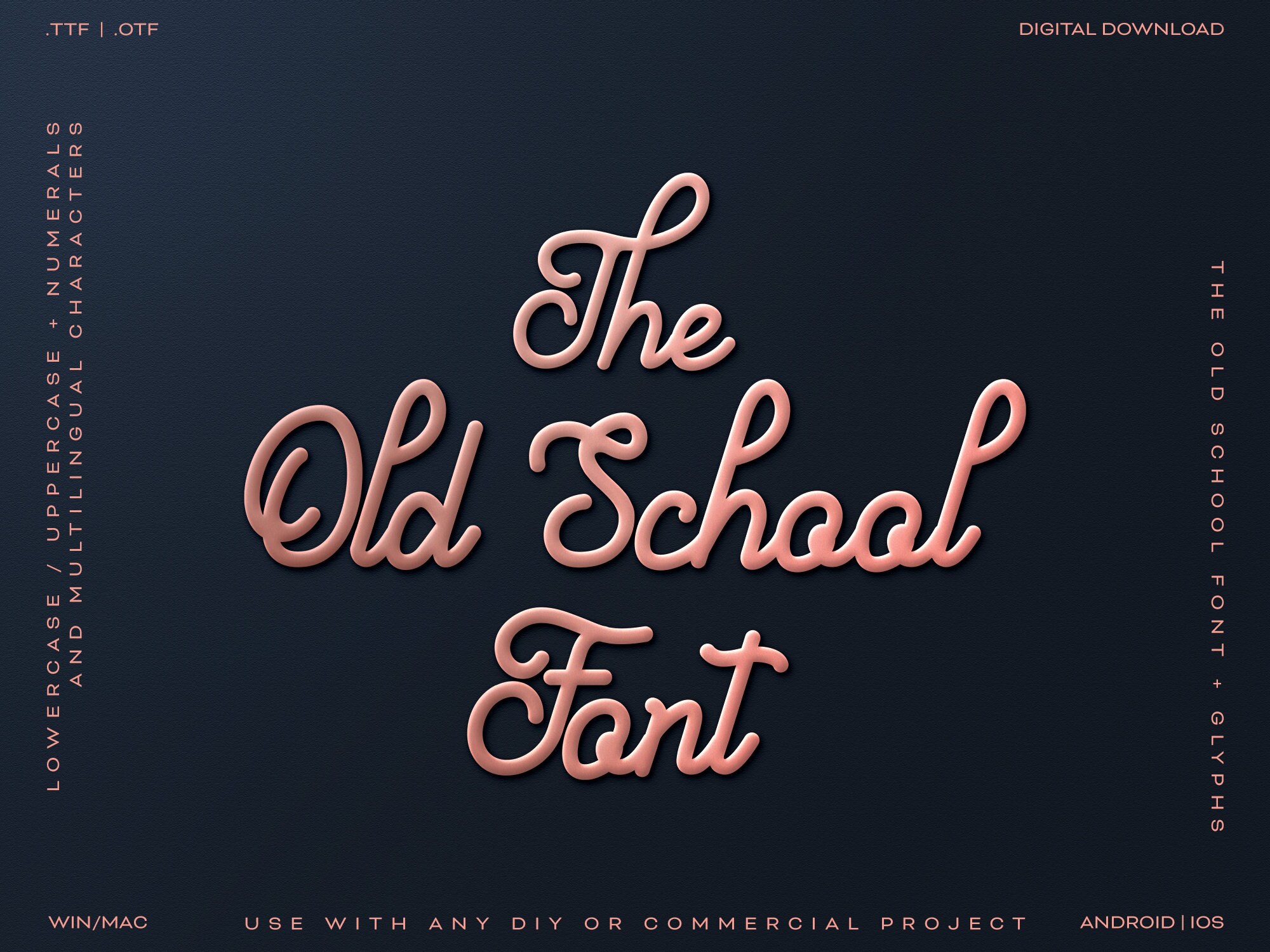 Retro Vintage Font, Old School Mono Script Font, OTF, TTF Font ...