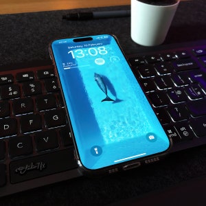 Dolphin in Your iPhone Wallpaper | Mobile Phone Wallpaper | Ios Lockscreen Wallpaper | Cellphone ...