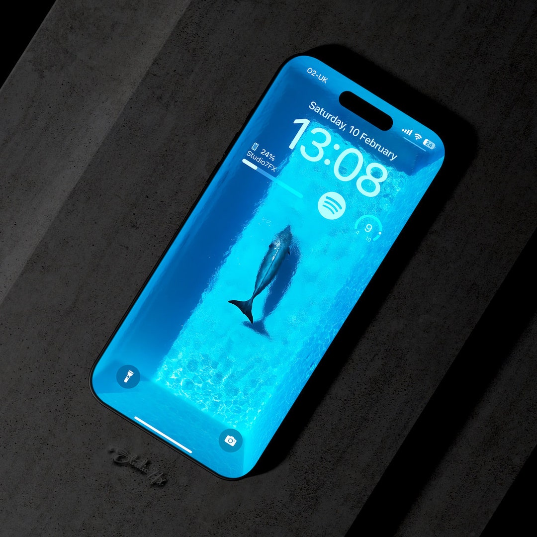 Dolphin in Your iPhone Wallpaper Mobile Phone Wallpaper Ios Lockscreen ...