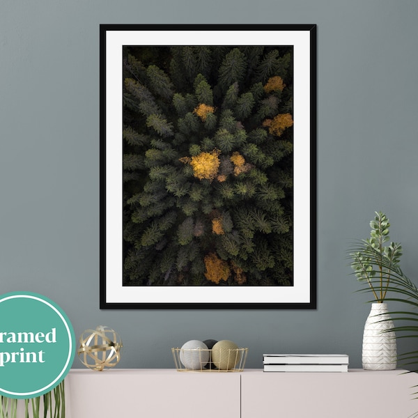 Framed Nature Print - Etsy