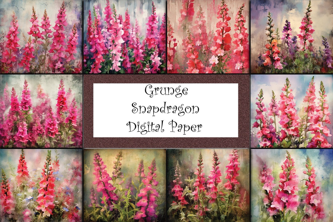 Grunge Snapdragon Digital Paper Pack Vintage Textures, Distressed ...
