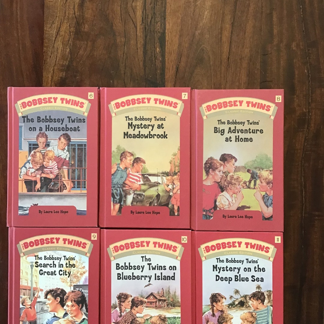 The Bobbsey Twins Book Collection - Etsy