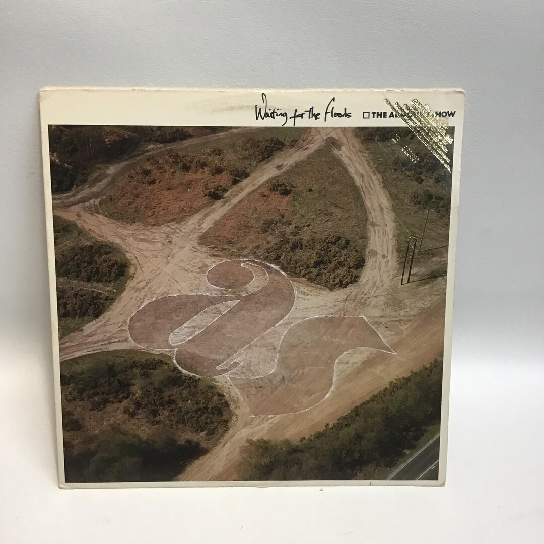 The Armoury Show Debut Vinyl Album 1985 Waiting for the Floods - Etsy