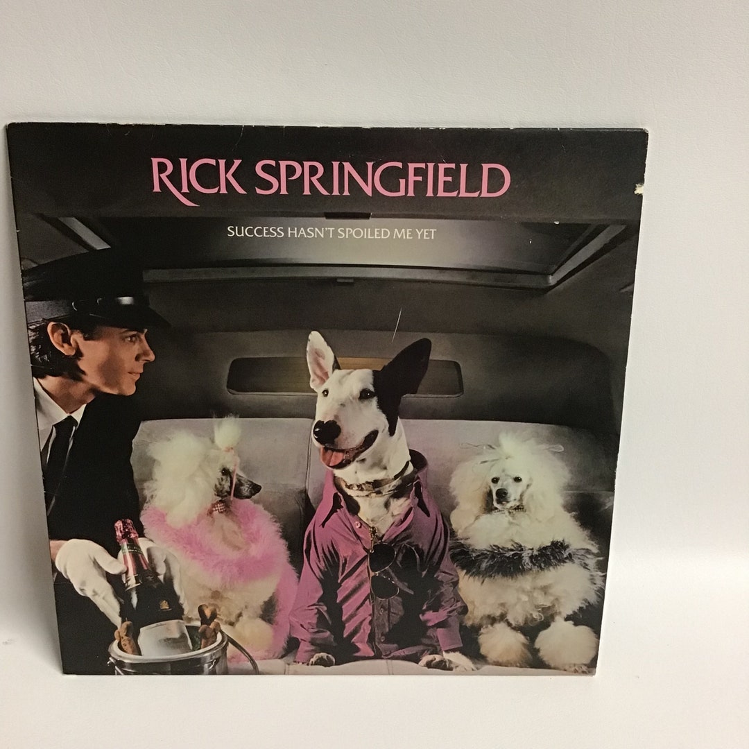Rick Springfield Vinyl Album - Etsy