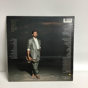 Najee Vinyl Album 1986 Najees Theme - Etsy