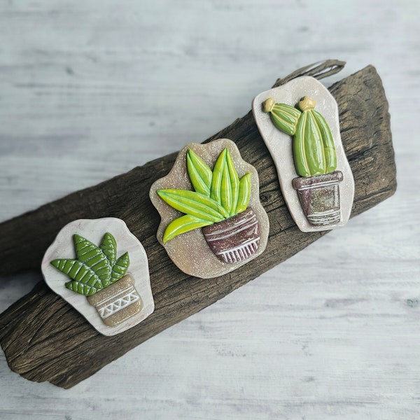 Succulent Magnet - Etsy