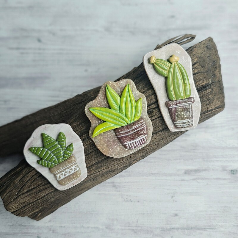 Succulent Magnet - Etsy