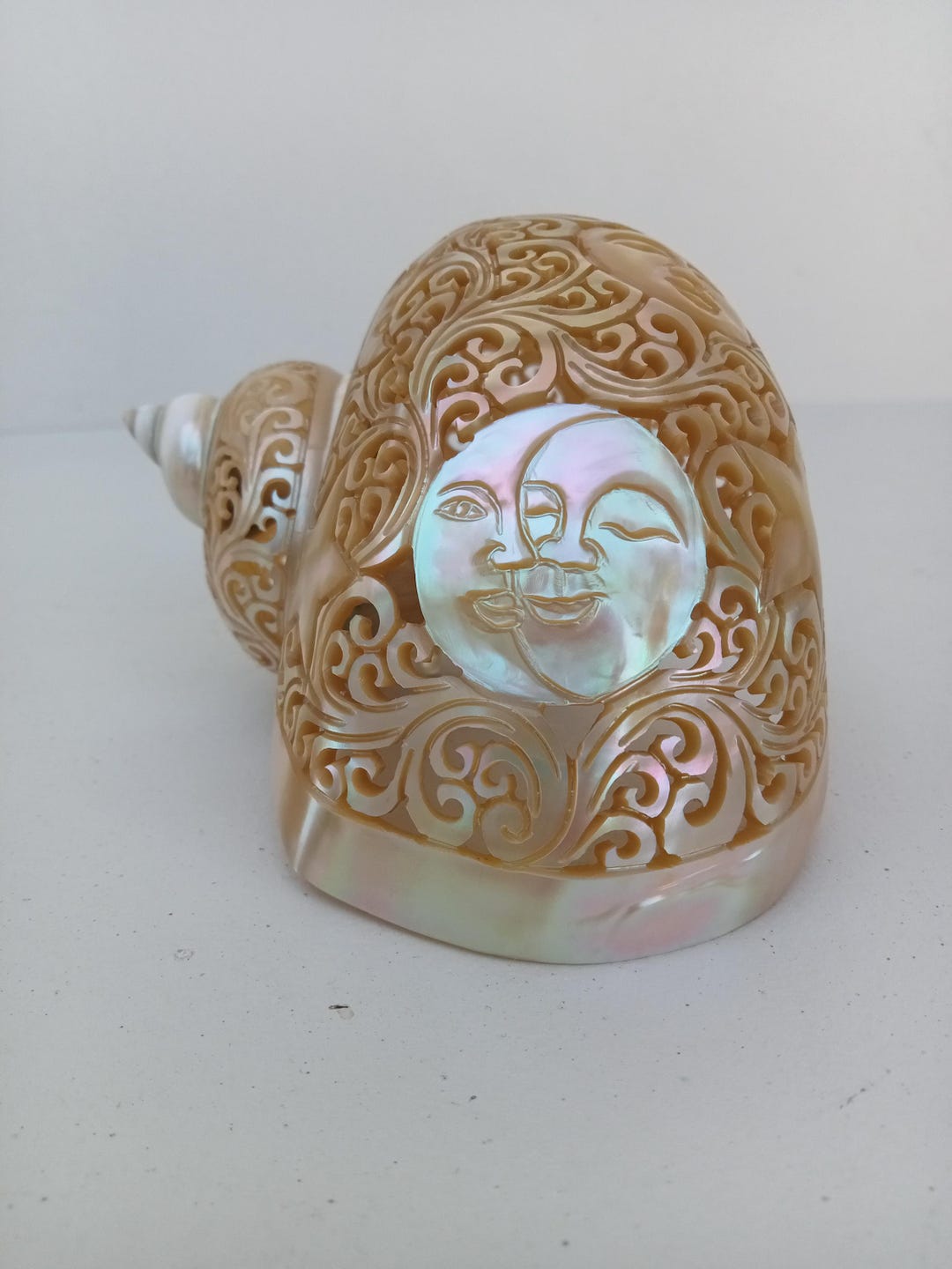 Carved Pearl Turbo Conch Shell Night Theme,real and Natural Seashell ...