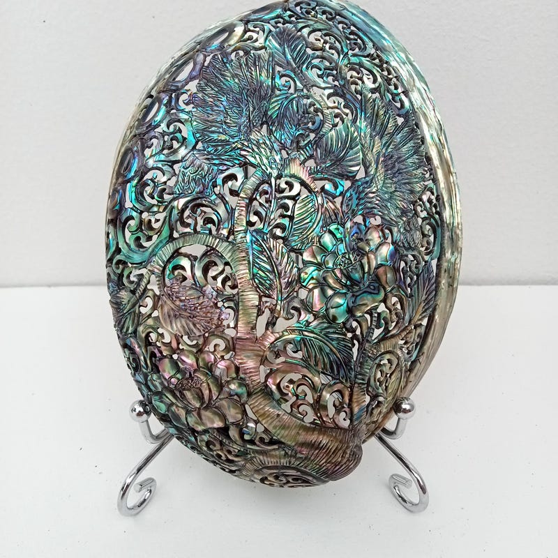 Blue Abalone Shell - Etsy