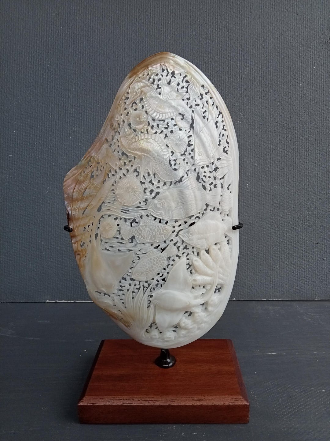 Hand Carved Mussels Clam Shell Art: Manta Ray & Sea Animals on Stand - Etsy