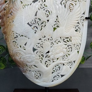 Hand Carved Pearl Mussels Shell Large Sizewith - Etsy