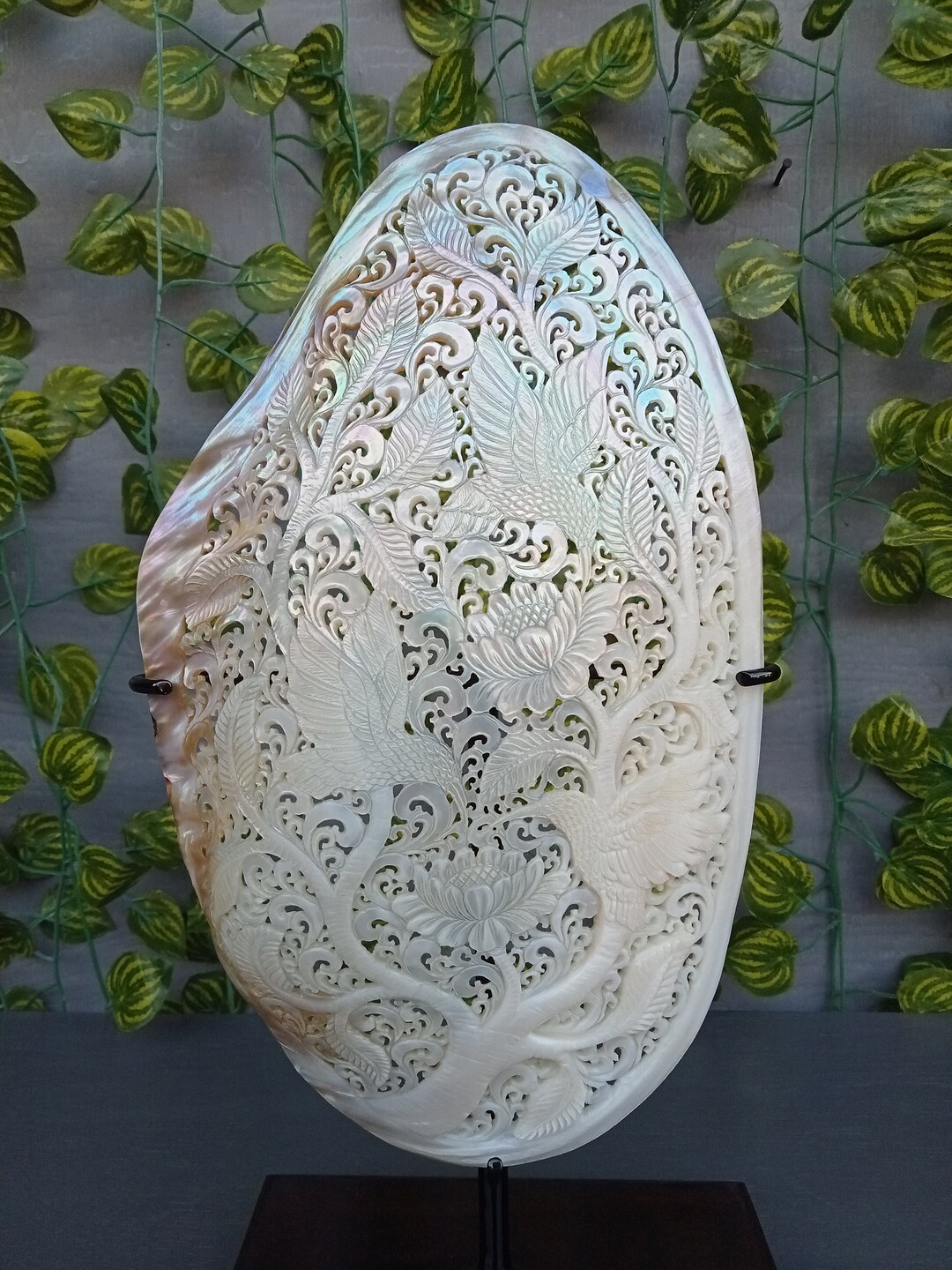 Hand Carved Pearl Mussels Clam Shell Extra Large Size With - Etsy
