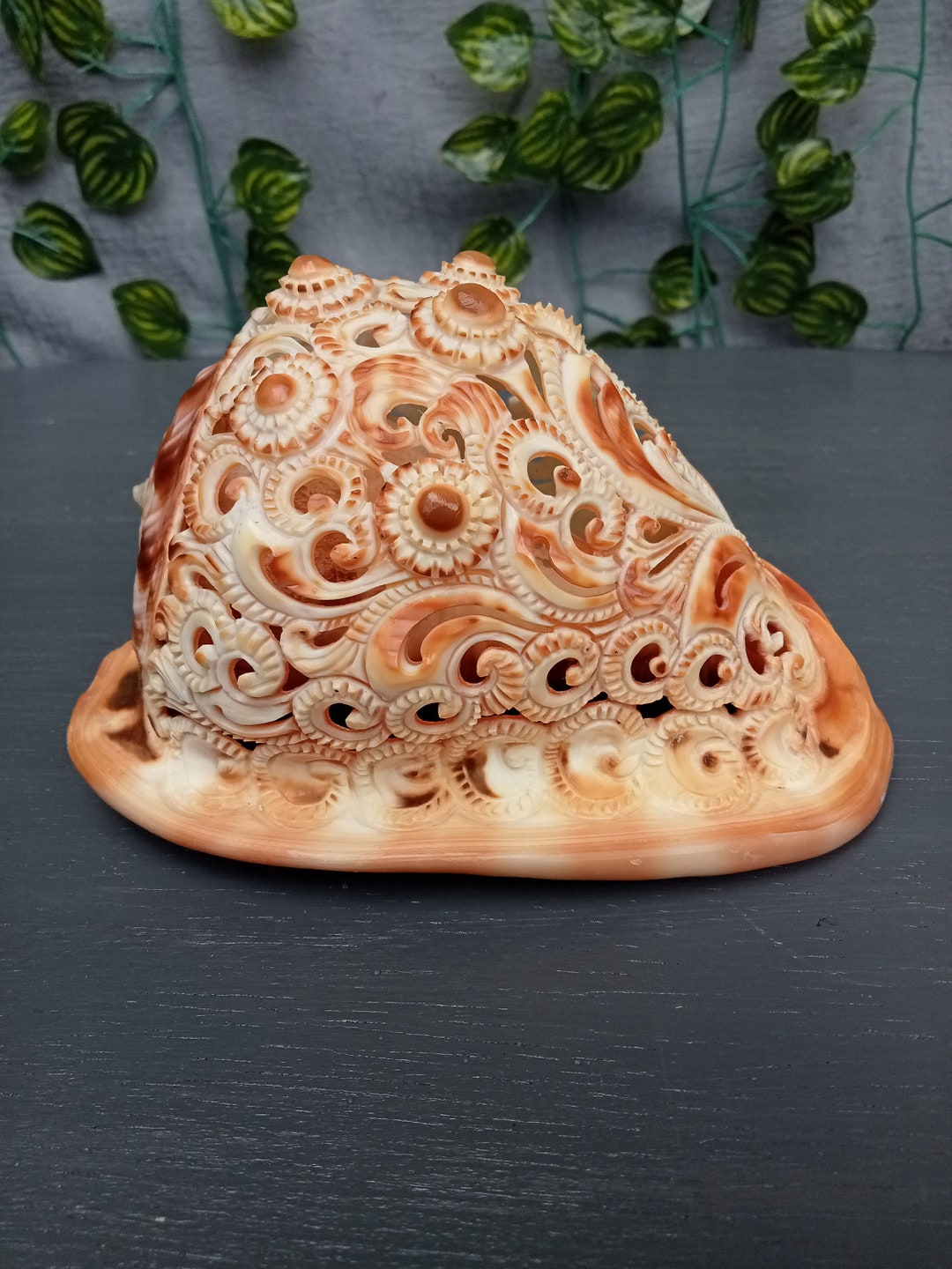 Hand Carved Conch Shell,red Helmet Shell Sculpture, Real and Natural ...