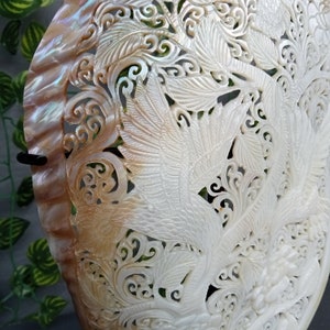 Hand Carved Pearl Mussels Shell Large Sizewith - Etsy