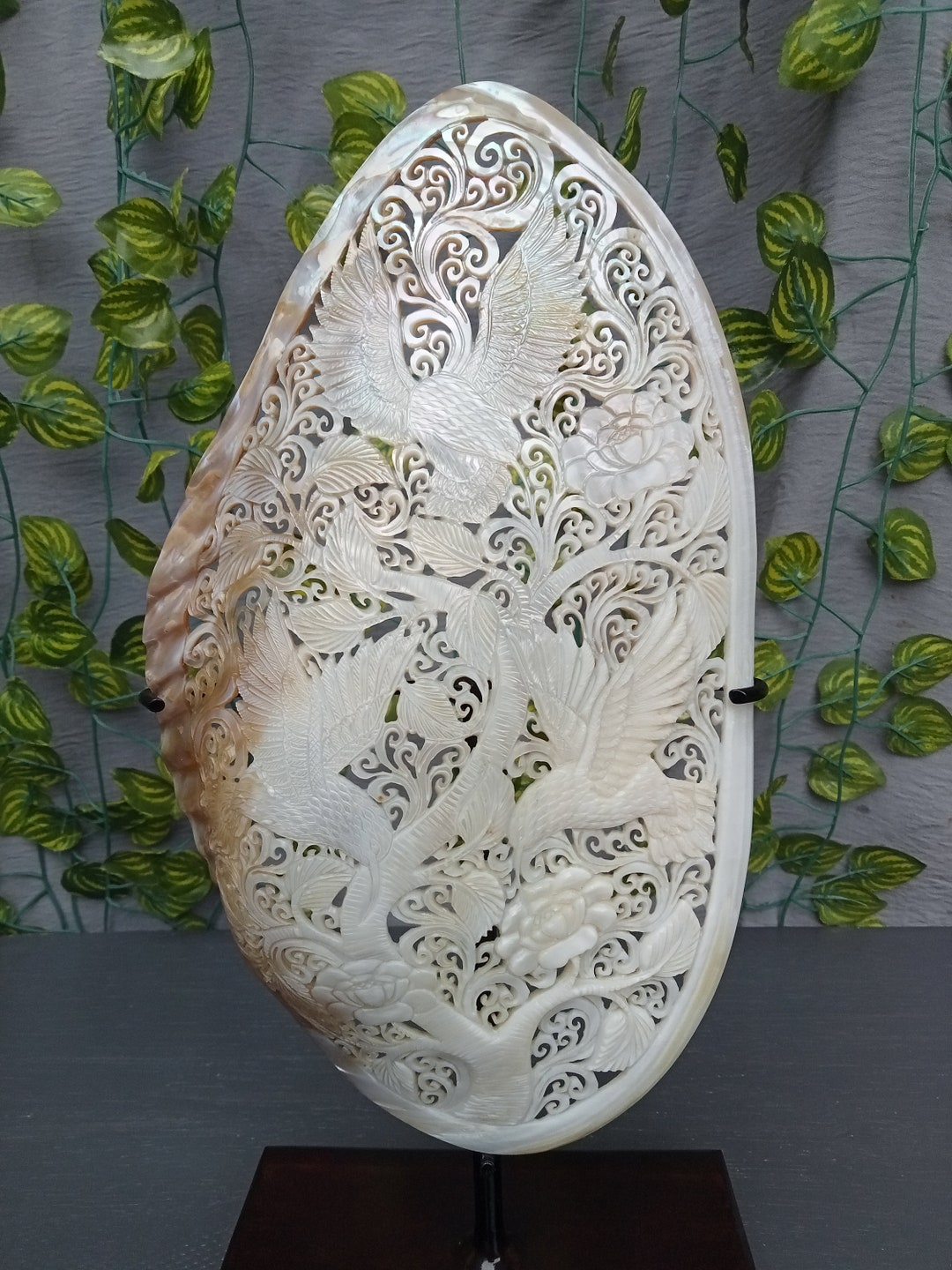 Hand Carved Pearl Mussel Clam Shell XL Size,hummingbird Theme,real and ...