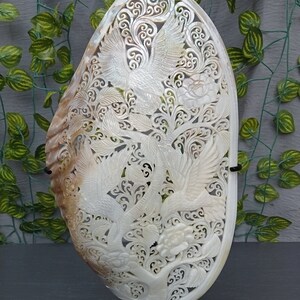 Hand Carved Pearl Mussel Clam Shell XL Size,hummingbird Theme,real and ...