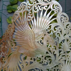 Hand Carved Pearl Mussels Clam Shell XL Size,phoenix Theme,real and ...