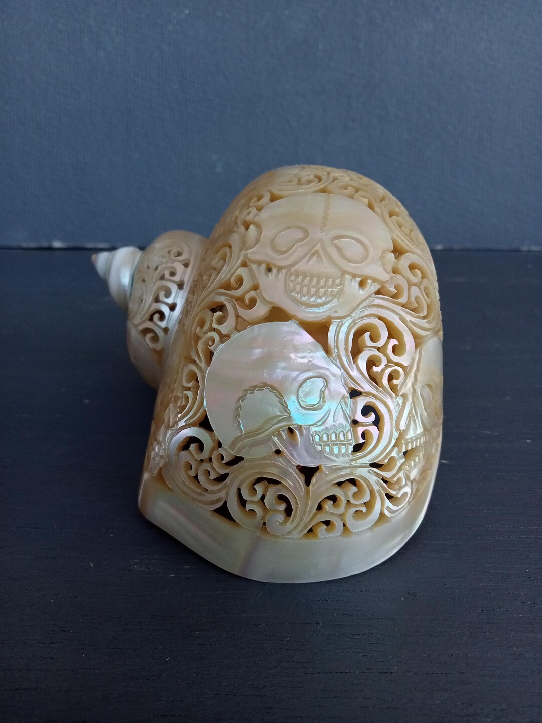 Pearl Turbo Conch Shell Carving, Skull Design Real and Natural Seashell ...