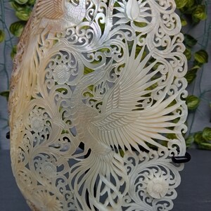 Hand Carved Pearl Mussels Clam Shell XL Size,phoenix Theme,real and ...