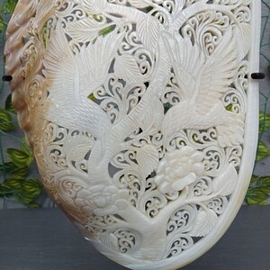 Hand Carved Pearl Mussel Clam Shell XL Size,hummingbird Theme,real and ...