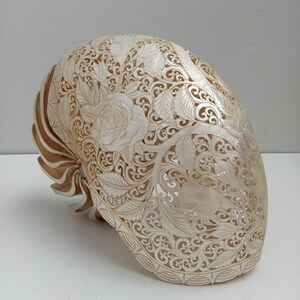 Hand Carved Nautilus Shell Rose Carving,real and Natural Seashell ...
