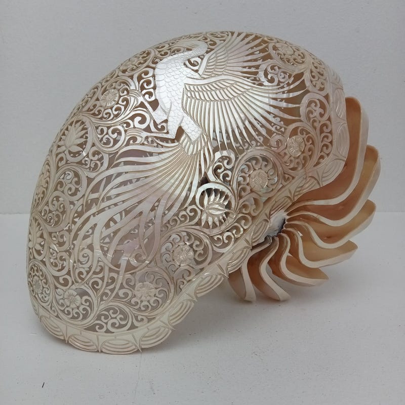Nautilus Art Jewelry - Etsy UK