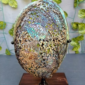 Carved Abalone Shell Sea Turtle Theme,real and Natural Abalone Shell ...