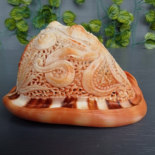 Carved by the Sea - Etsy