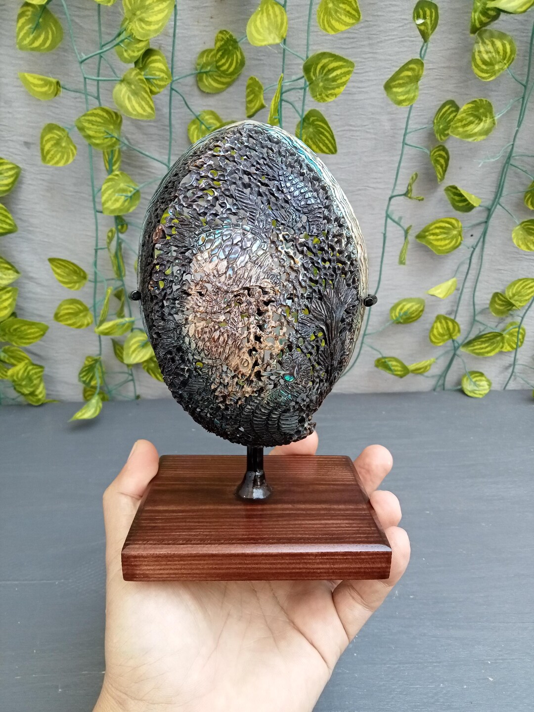 Carved Abalone Shell Sea Turtle Theme,real and Natural Abalone Shell ...