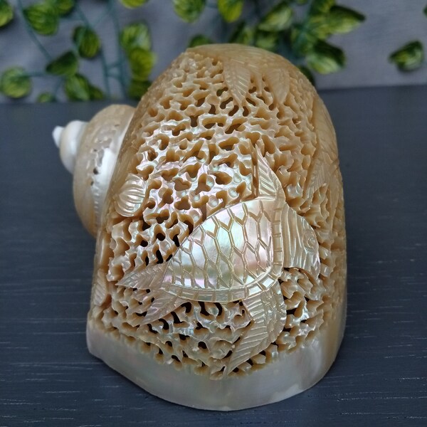 Conch Shell Art - Etsy