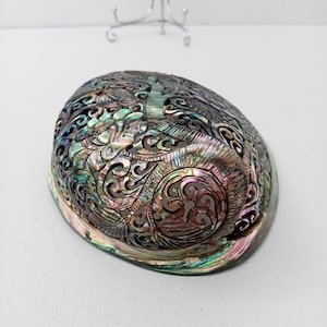 Carved Abalone Shell Hummingbird Theme Paua Abalone Real and Natural ...