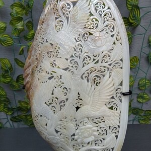 Hand Carved Pearl Mussel Clam Shell XL Size,hummingbird Theme,real and ...