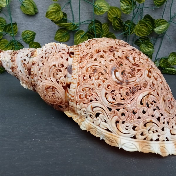 Sea Shell Angel - Etsy