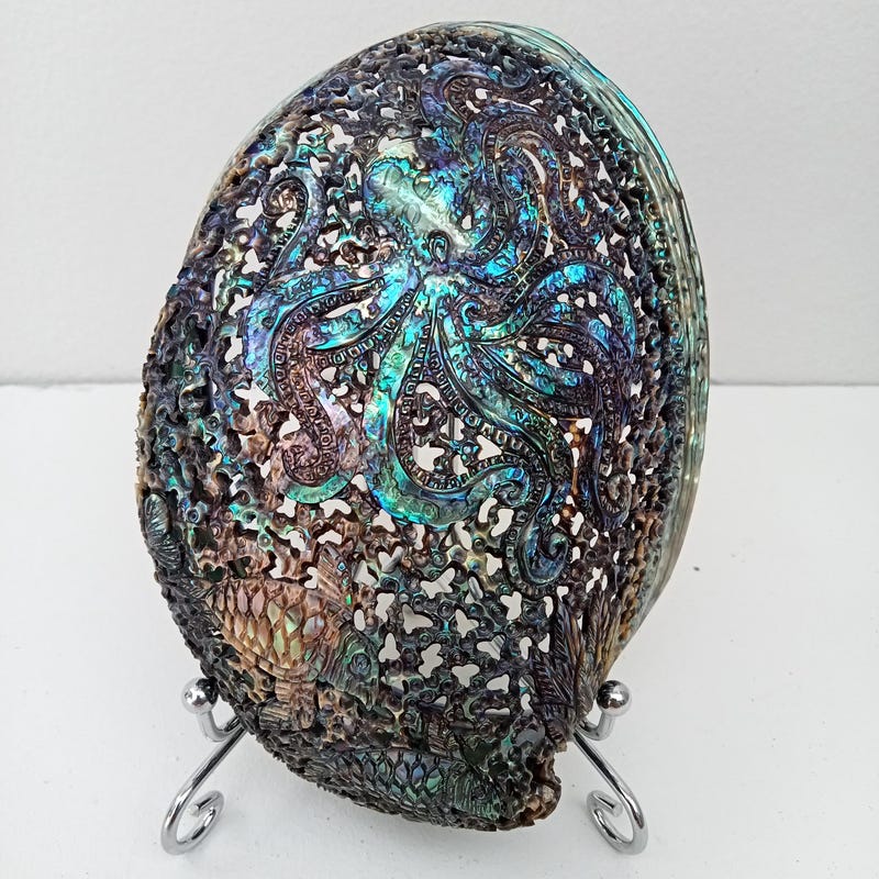 Abalone - Etsy