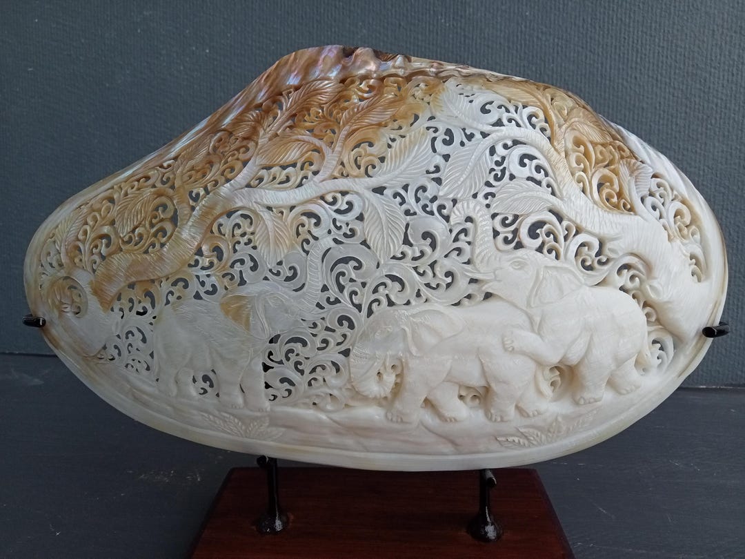 Carved Pearl Mussel Shell Elephants Design,real and Natural Sea Shell ...