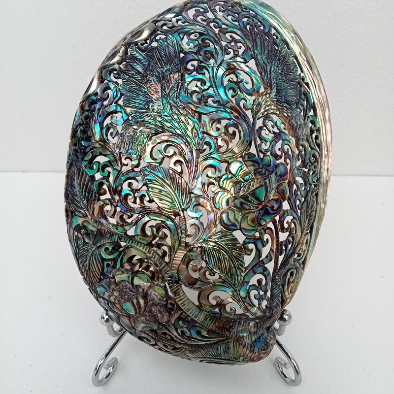 Blue Abalone Shell - Etsy