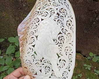 Carved Sea Shell | Etsy