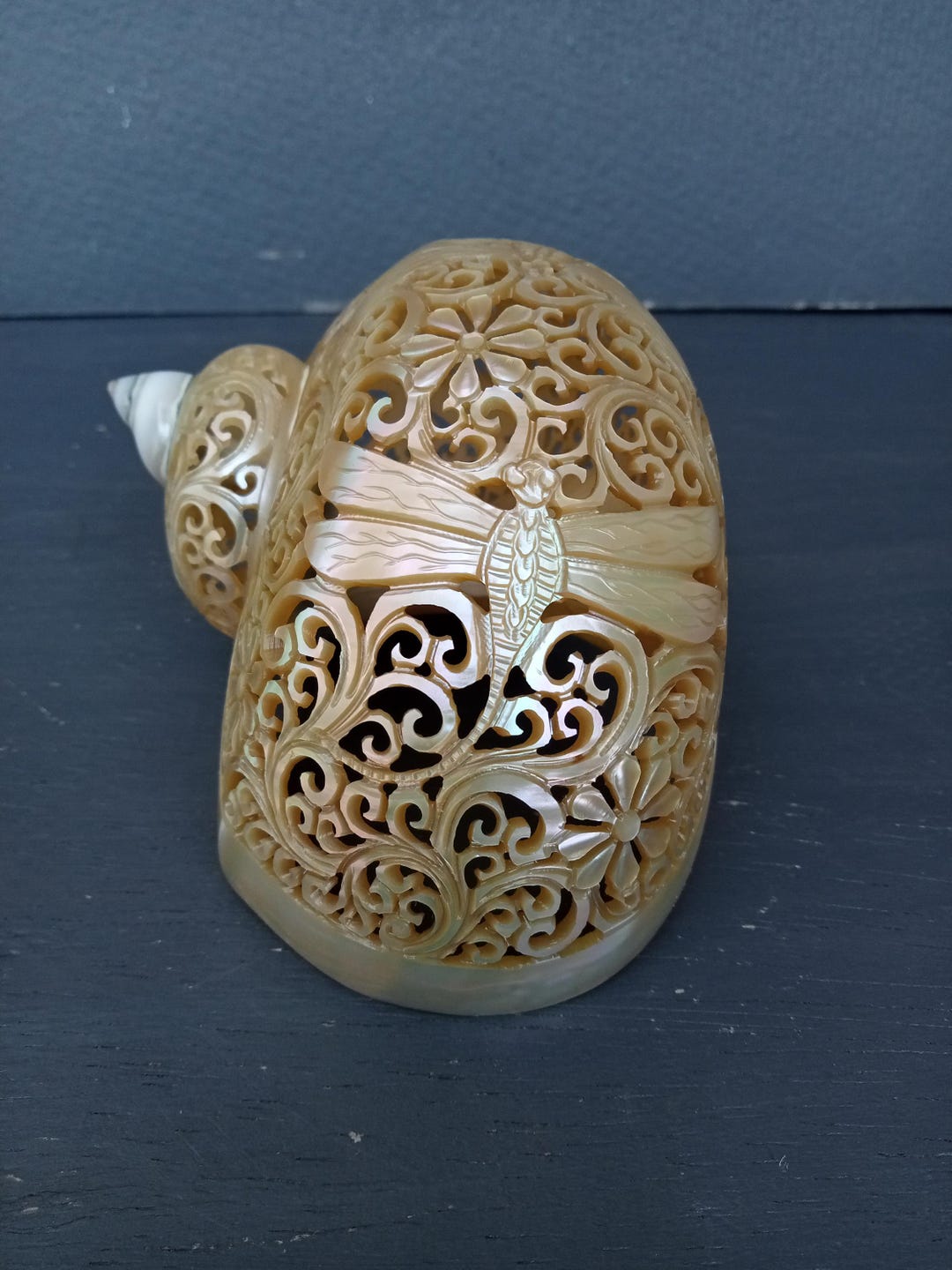 Pearl Turbo Shell Dragonfly,natural Sea Shell,polished and Hand Carved ...