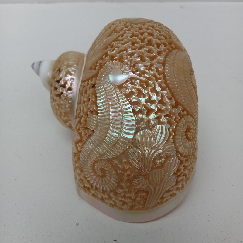 Shell Carved Sea Horse - Etsy