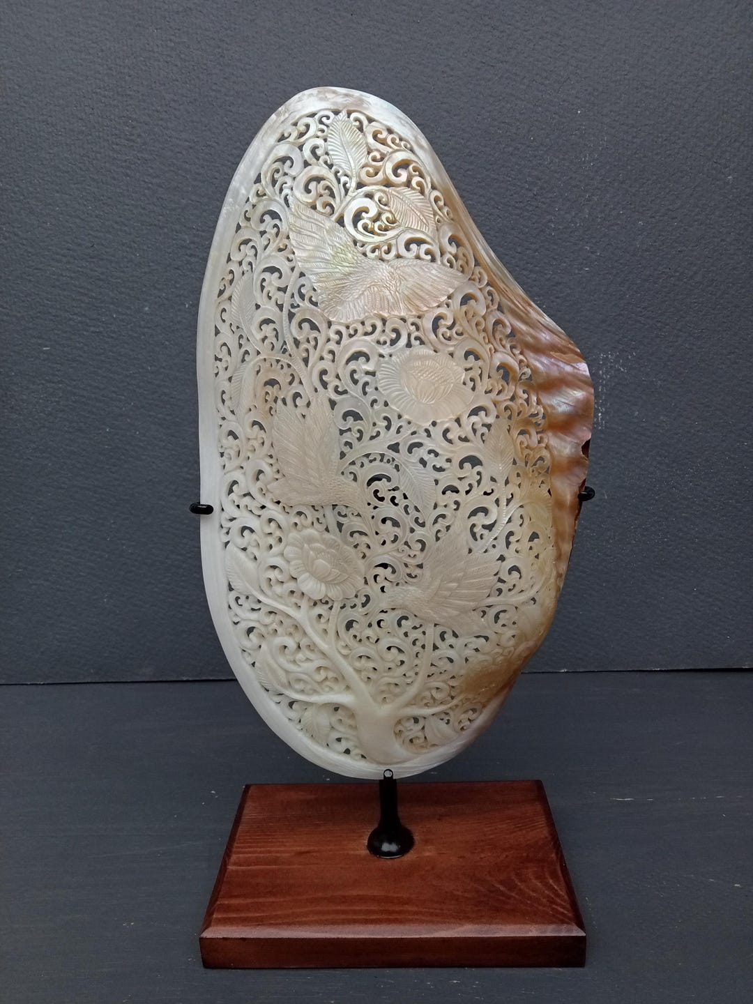 Sea Shell Decor,carved Pearl Mussels Shell Xl Size on Stand,hummingbird ...