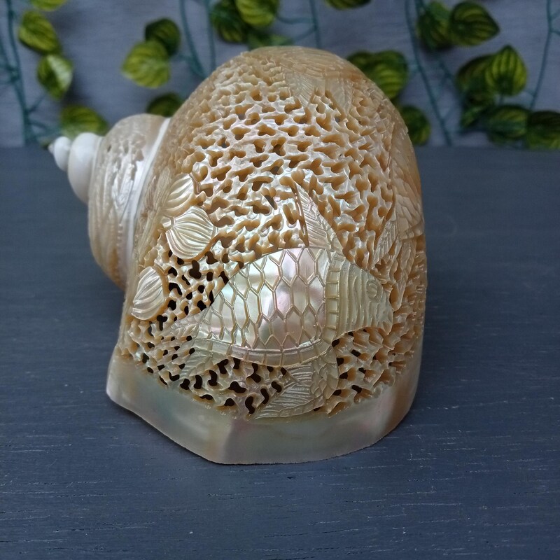 Conch Shell Art - Etsy