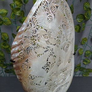 Hand Carved Pearl Mussel Clam Shell XL Size,hummingbird Theme,real and ...