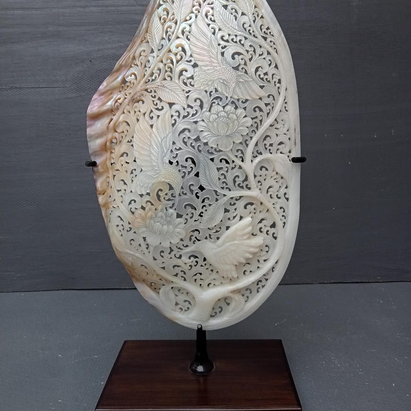 Sea Shell Decor - Etsy