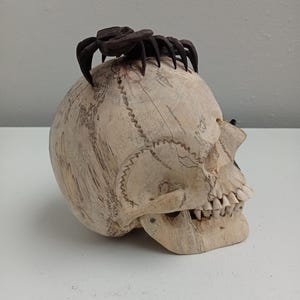 Carved Skull,wooden Human Skull With Centipede,skull Replica,skull Art ...