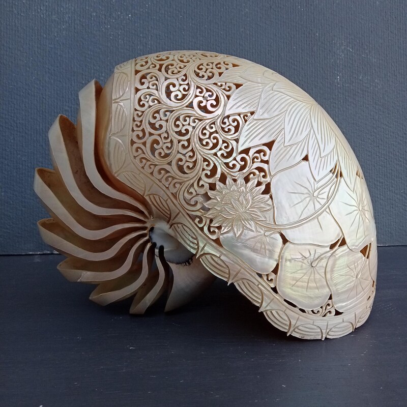 Sea Shell Sculpture - Etsy