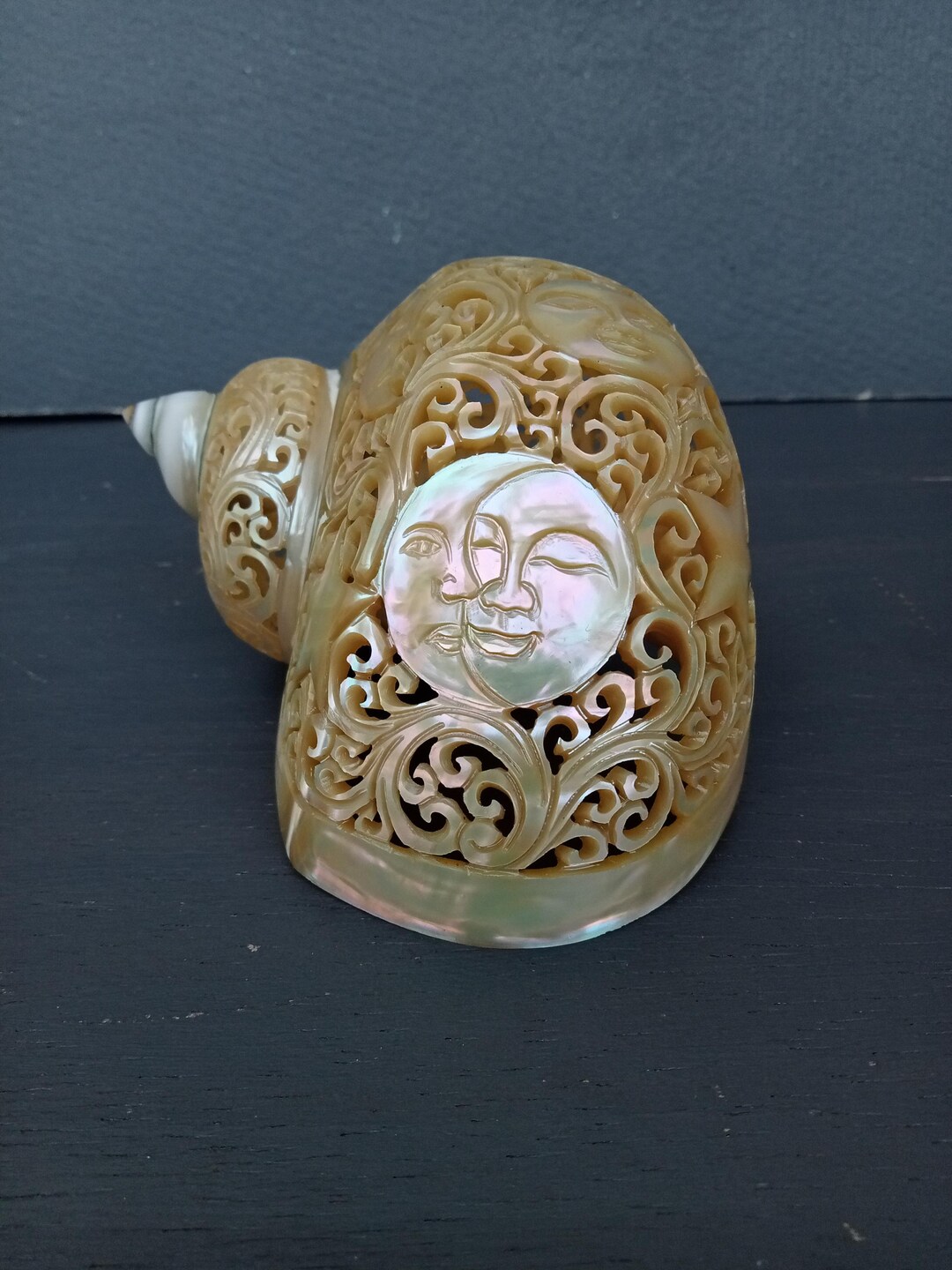 Hand Carved Turbo Snail Shell Night Theme: Natural Seashell Art - Etsy