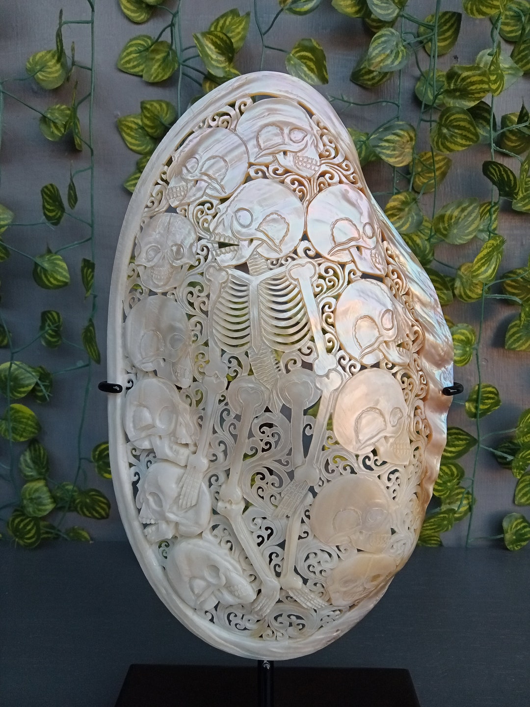 Hand Carved Pearl Mussel Clam Shell XL Size Human Skull Carving on ...