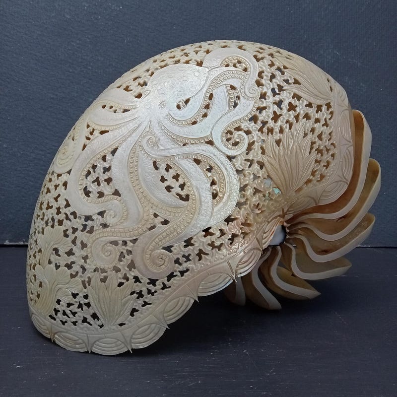 Nautilus Shell Art - Etsy